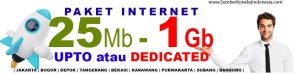 Harga Internet Dedicated 50 Mbps: Perbandingan Lengkap untuk Kebutuhan ...